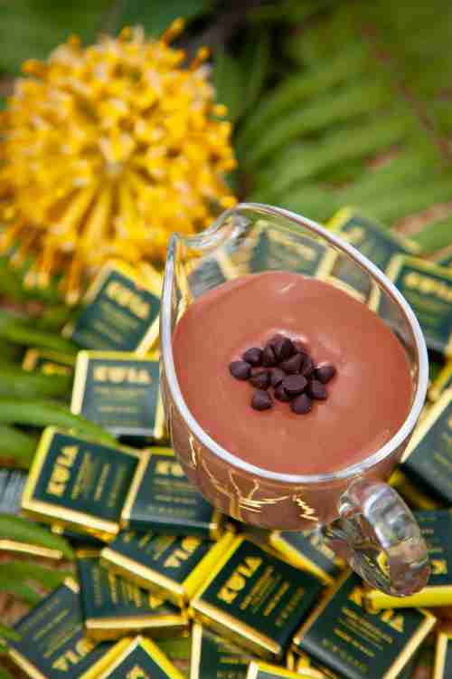 Lilikoi Chocolate Mousse by Gunars Valkirs • Cooking Hawaiian Style
